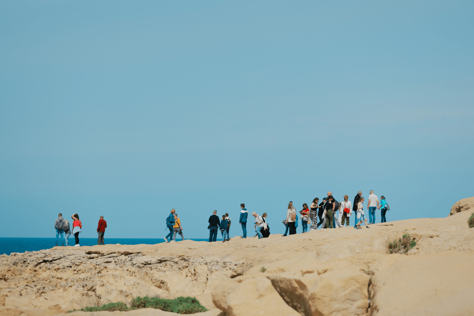 25 million steps for charity: The Projective Group Walking Challenge ...